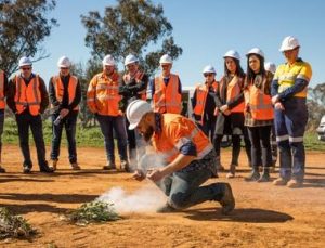 Bomen Solar Farm – Spark Renewables