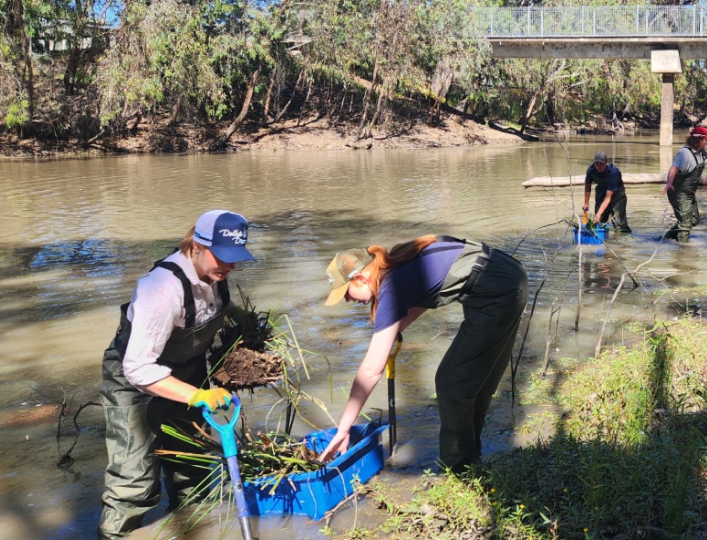 Dinawan Energy Hub Community Newsletter – April 2025 update – Spark ...