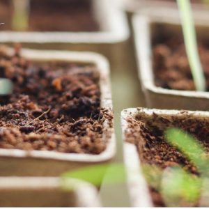 Bomen Solar Farm – Spark Renewables