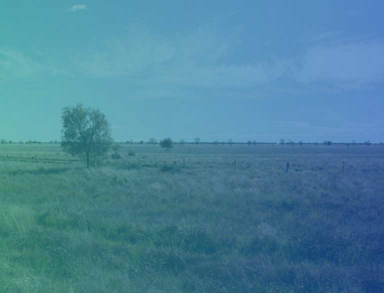 Dinawan Energy Hub – Spark Renewables